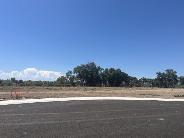 969 Hay Bale Ct, Fruita, CO 81521