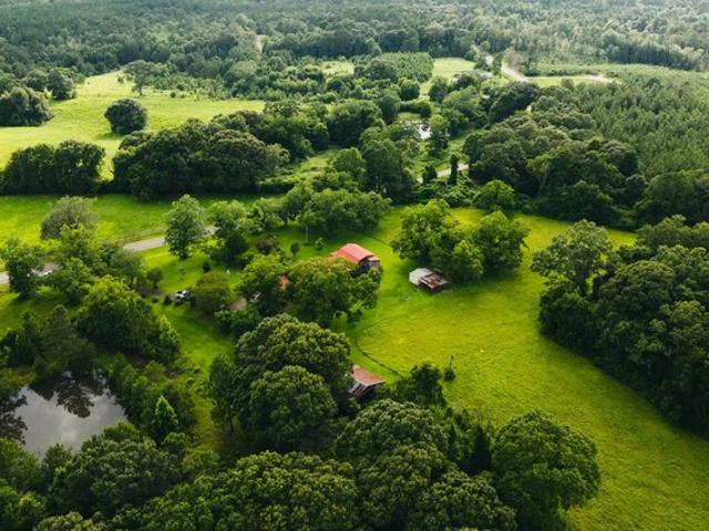 969 Indian Hill Rd, Richton, MS 39476
