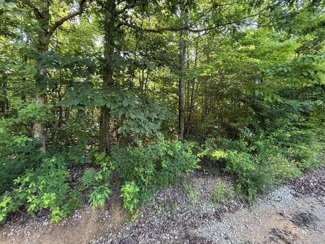 969 Lewallen Cemetery Road