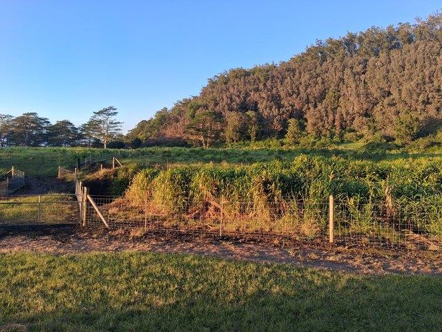 96 2422 Wood Valley Rd, Pahala, HI 96777