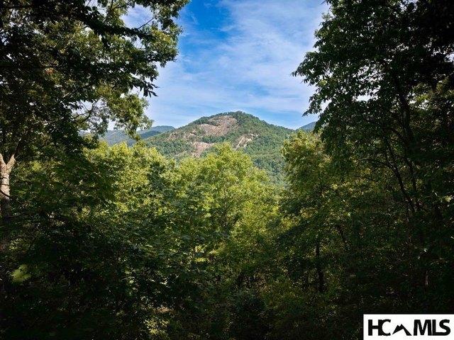96 Whispering Falls Ct Lot 76, Tuckasegee, NC 28783