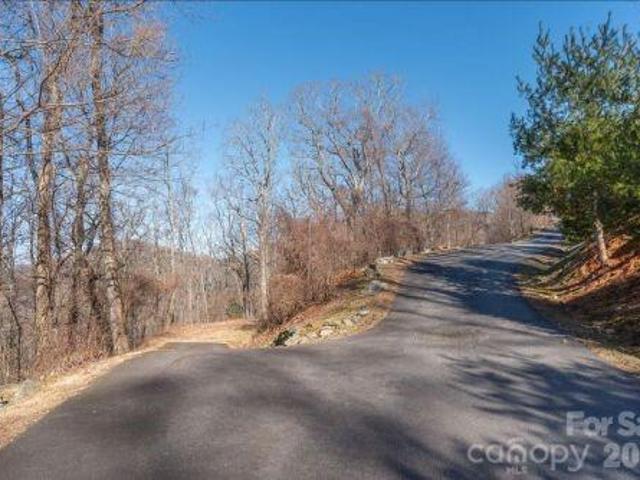 96 Castanea Mountain Drive