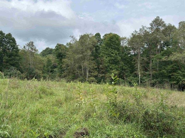 96 Donnie Hill Rd, Belington, WV 26250