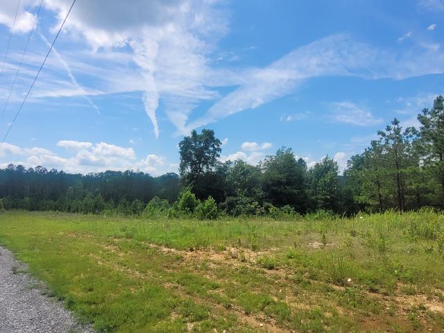 96 Evergreen Dr
