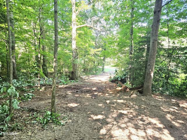 96 Golf Course Road