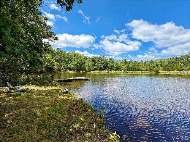 96 Helmering Rd, Steelville, MO 65565