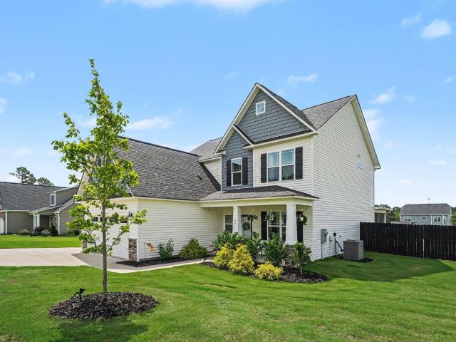 96 Looping Horse Circle