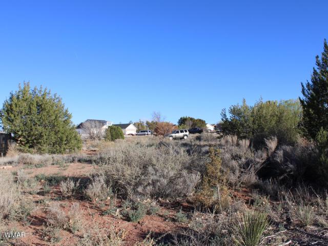 96 Lyon Gate Drive