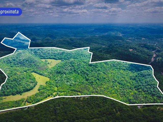 96 Maranatha Hollow Ln, Dixon Springs, TN 37057