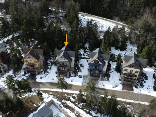 96 Sanctuary Dr, Snowshoe, WV 26209