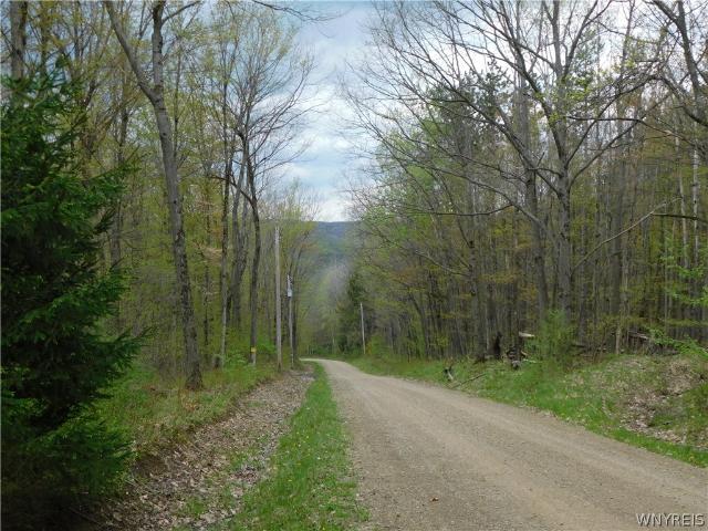 9705 White Meeting House Road
