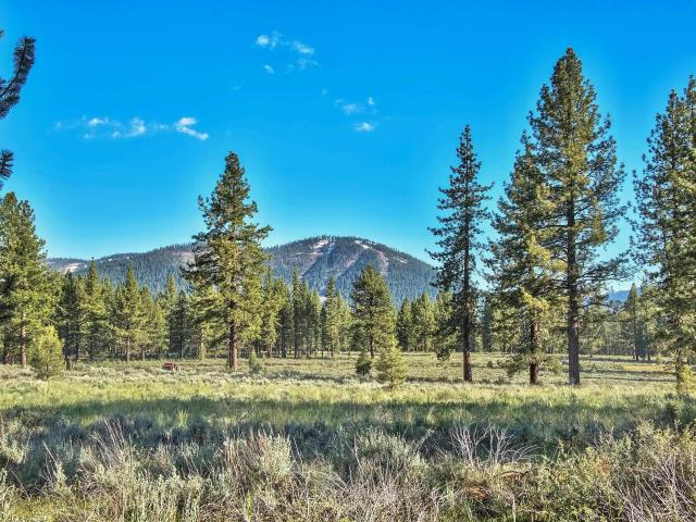9701 Highway 267, Truckee, CA 96161 | MLS #20241