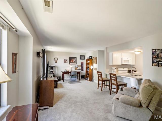 9714 Raintree Village Dr, Unit 3F, Hillsboro, MO 63050 | MLS #26025 | Compass