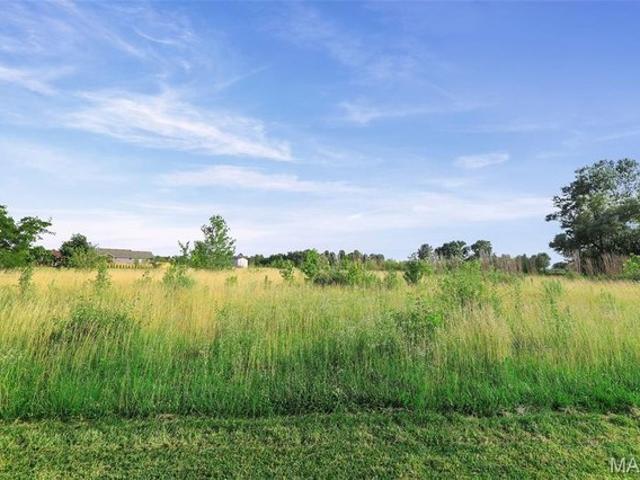 9710 Hosto Rd, Worden, IL 62097