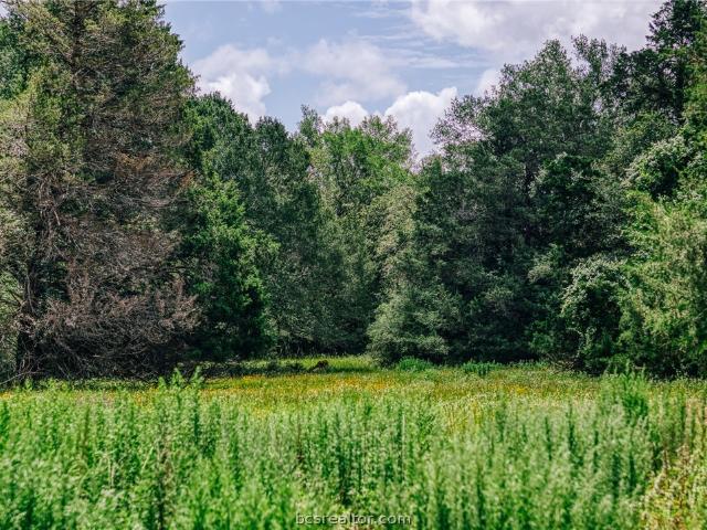 9713 County Road 316