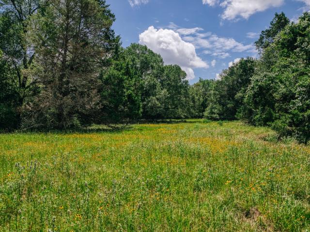 9713 County Road 316