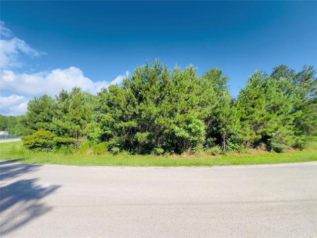 971 County Road 3415