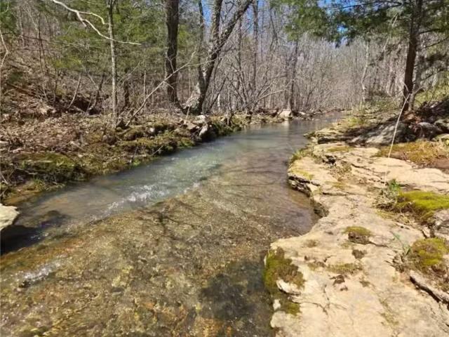 971 MADISON 3055, WITTER, AR 72776 Vacant Land For Sale MLS#.