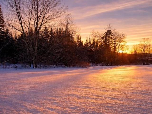972 B Fitzgerald Rd Lot 2, Morristown, VT 05661