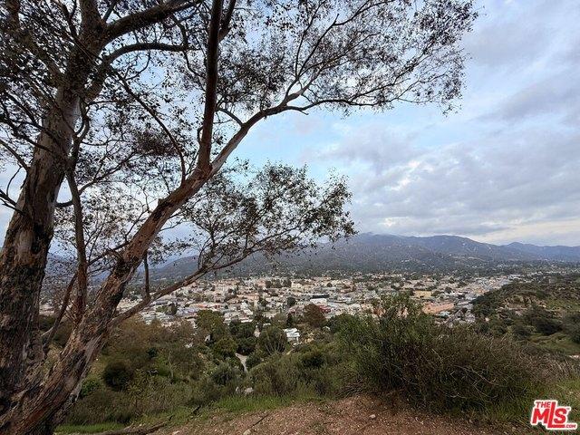 9735 N Estaban Way, Tujunga, CA 91042