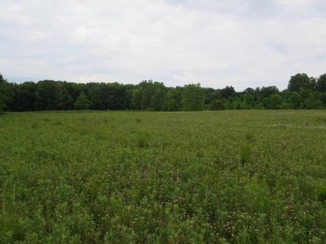 9730 Butcher Rd, Mount Vernon, OH 43050