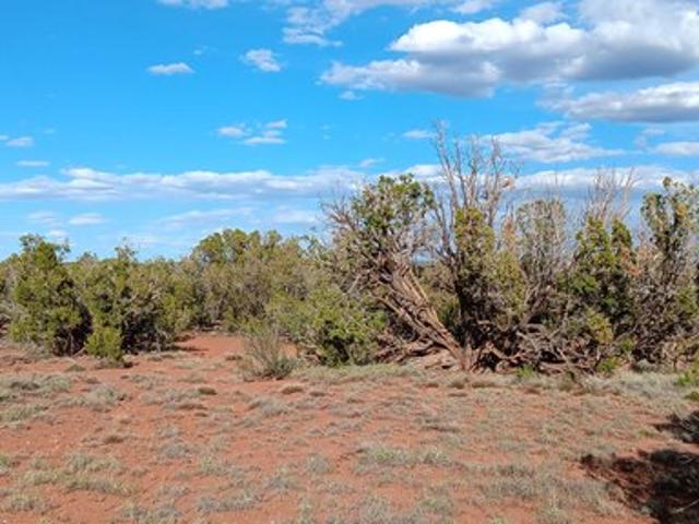 9730 Texas Ln, Show Low, AZ 85901