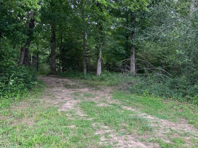 973 Coyote Ridge Road