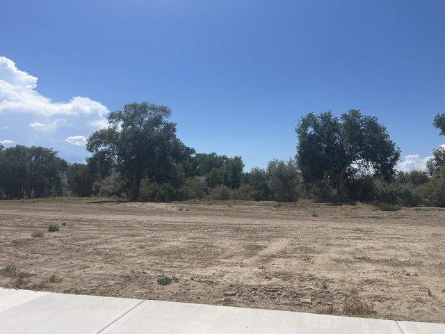 973 Hay Bale Ct, Fruita, CO 81521
