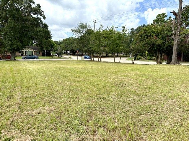 9746 Cedardale Dr, Houston, TX 77055