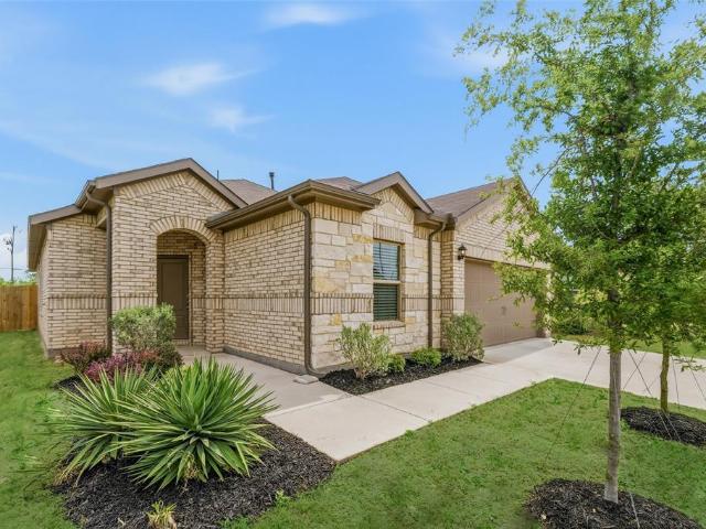 9749 Serviceberry Lane