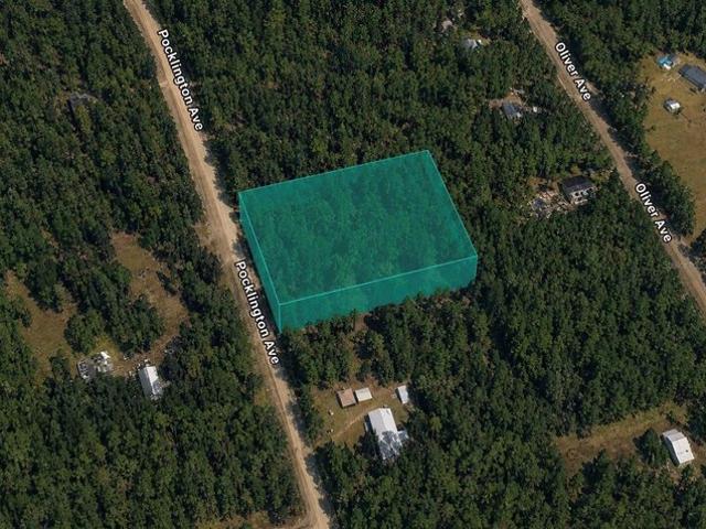 9740 Pocklington Ave, Hastings, FL 32145