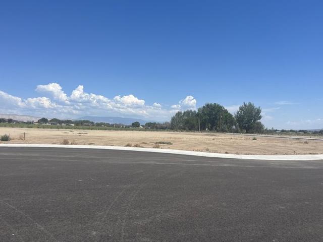 974 Hay Bale Ct, Fruita, CO 81521