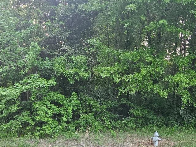 974 W Hemphill Road