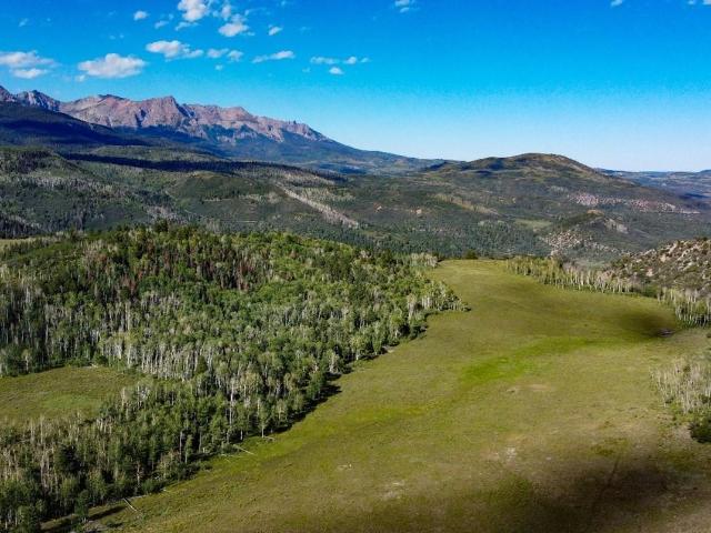 9757 County Road 5, Ridgway, CO 81432 | MLS #798027