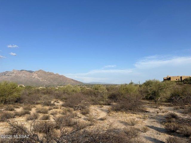 9750 N Camino Del Plata, Tucson, AZ 85742