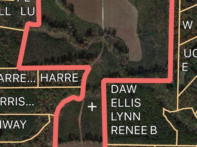 9765 Old Lewis School Rd, Middlesex, NC 27557 | MLS #2469