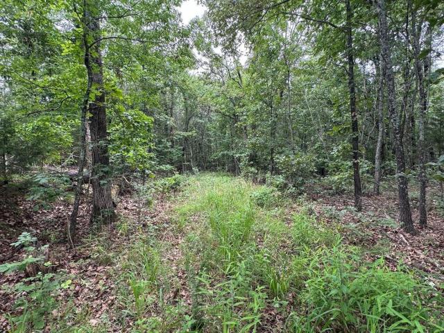 976 County Road 121