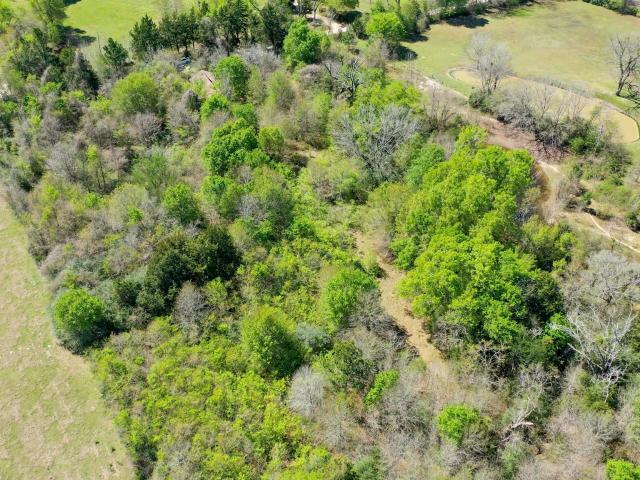 9779 Newport Ln, Midway, TX 75852 | MLS #49815