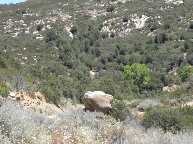 9779 Deer Valley Trail