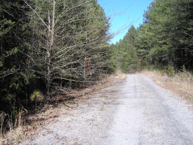 977 Dell Lane