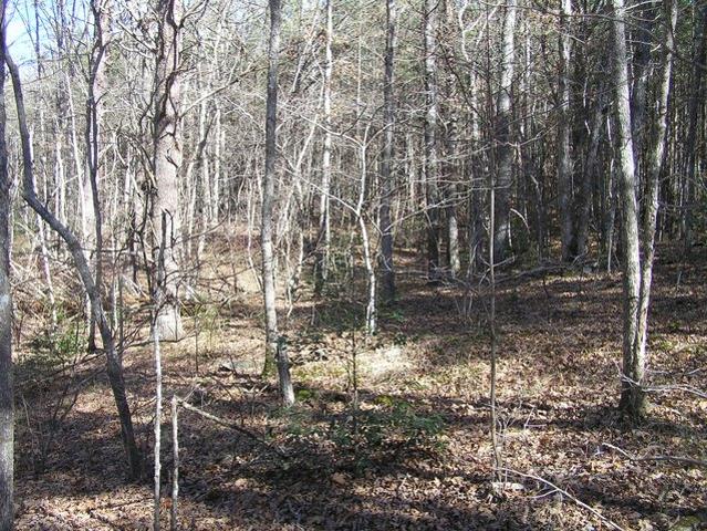 977 Dell Ln Lot 78, Spencer, TN 38585