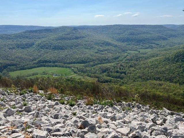 977 NC 8627, Jasper, AR 72641