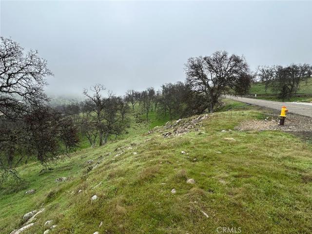 9784 Torito
