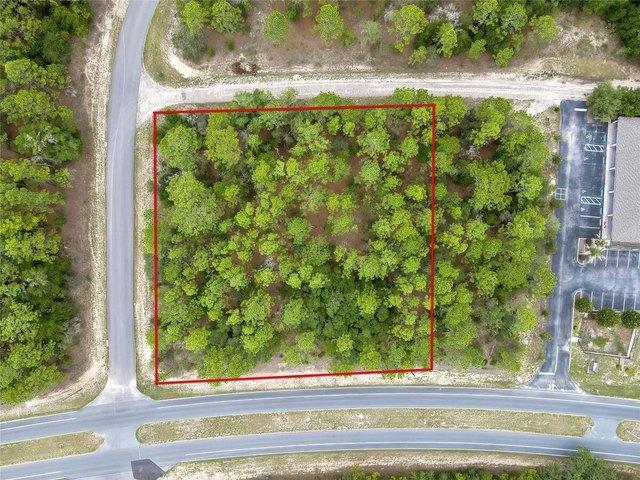9787 N Citrus Springs Blvd, Citrus Springs, FL 34434