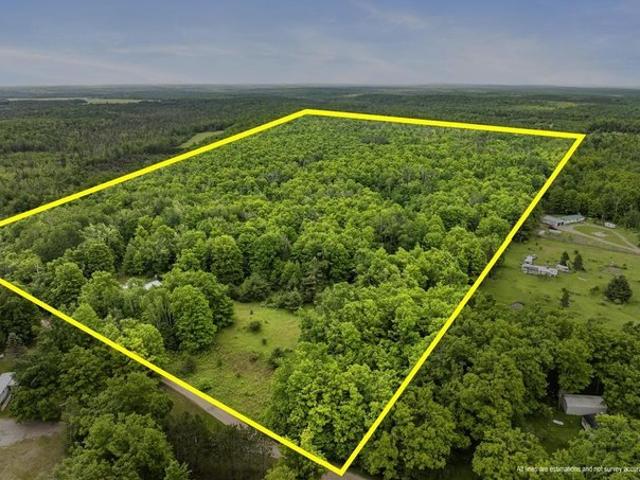 9782 Walters Rd, Onaway, MI 49765
