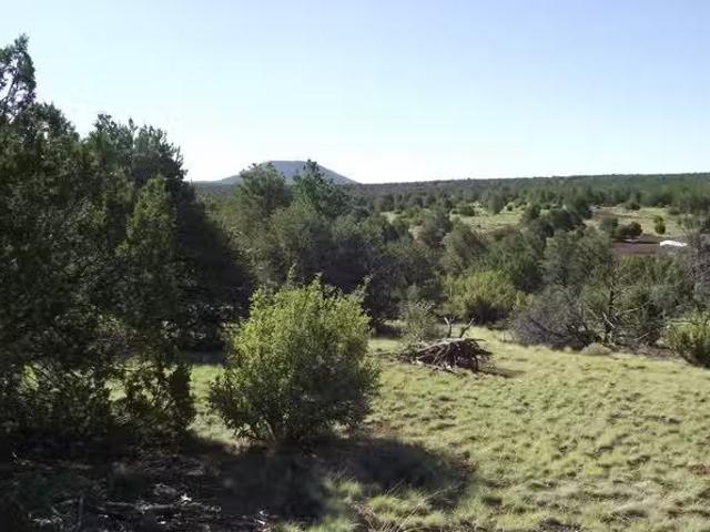 978 E Hualpai Trail #184, Williams, AZ 86046 MLS 197986