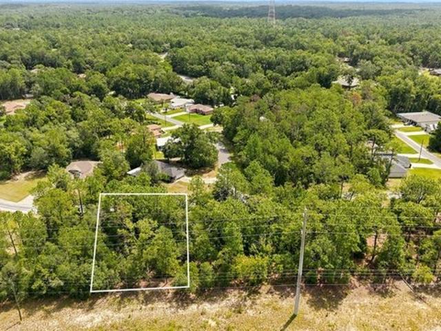 9794 N Cortlandt Dr, Citrus Springs, FL 34434