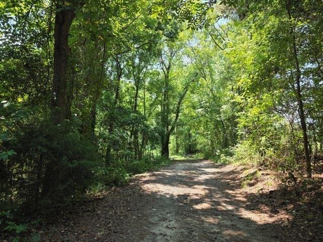 9792 Old Number Six Hwy, Santee, SC 29142