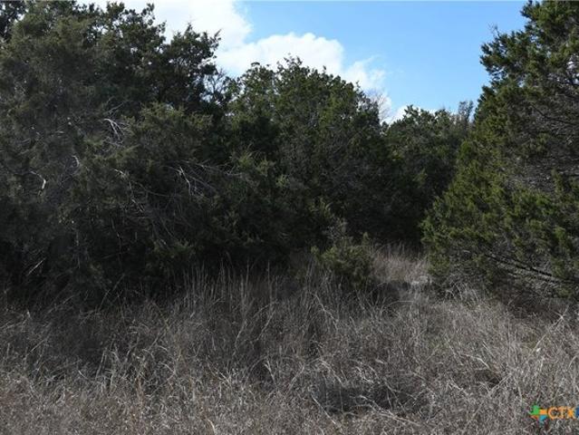 979 and 987 Deer Valley Pass Lot 19, Spring Branch, TX 78070
