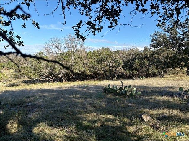 979 Deer Springs Dr Lot 227, Burnet, TX 78611